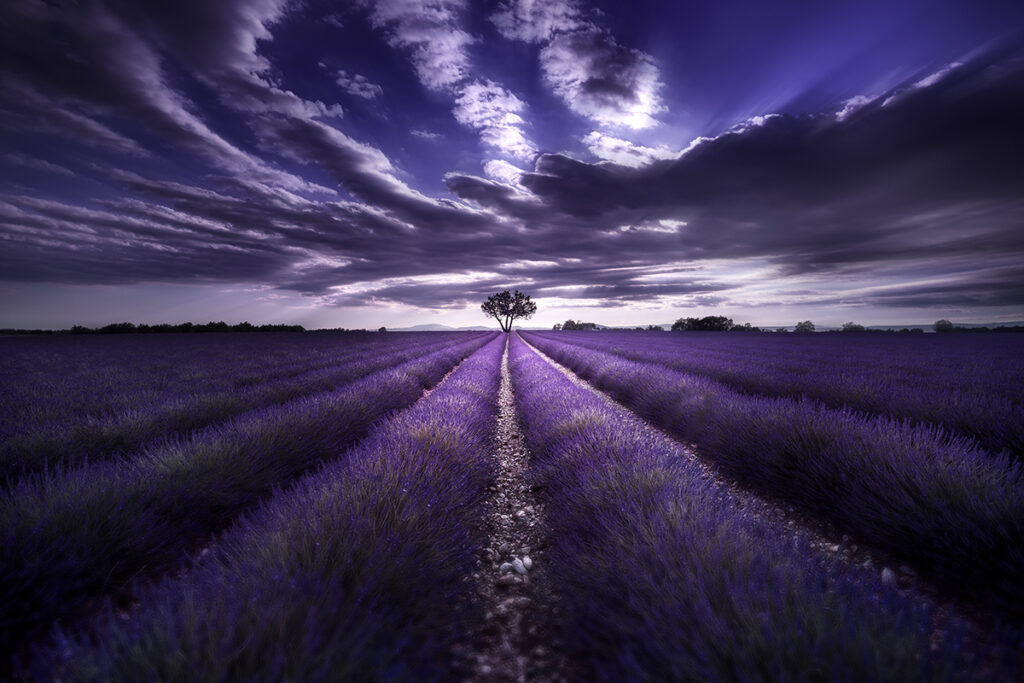 La Composition en photographie : les règles à connaître